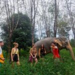 Khaolak: Sunset Elephant Walk with Complimentary Cocktail - FAQ