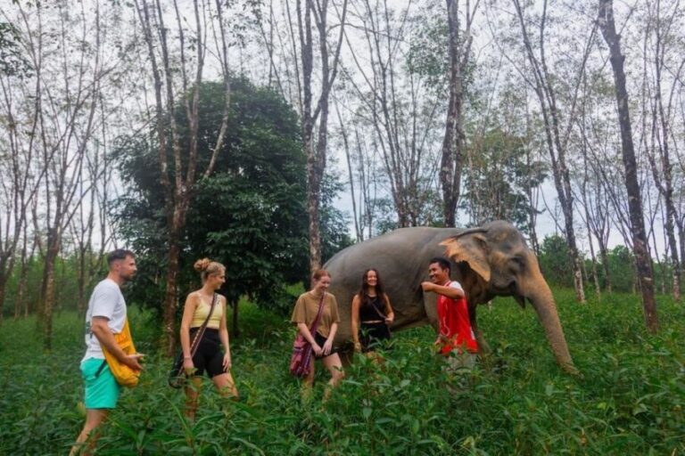 Khaolak: Sunset Elephant Walk with Complimentary Cocktail - FAQ