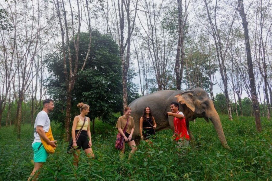 Khaolak: Sunset Elephant Walk with Complimentary Cocktail - FAQ