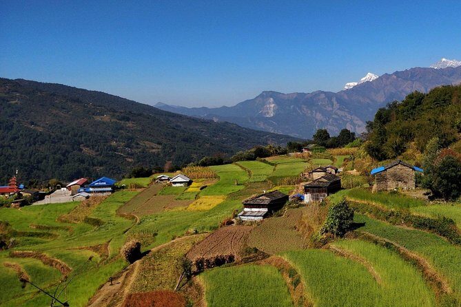 Khopra Danda and Khayar Lake Private Guided Trek - Itinerary Breakdown and What It Means for You