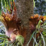 Kiama Blowholes, Sea Cliff Bridge and Royal National Park tour - Who Will Love This Tour?