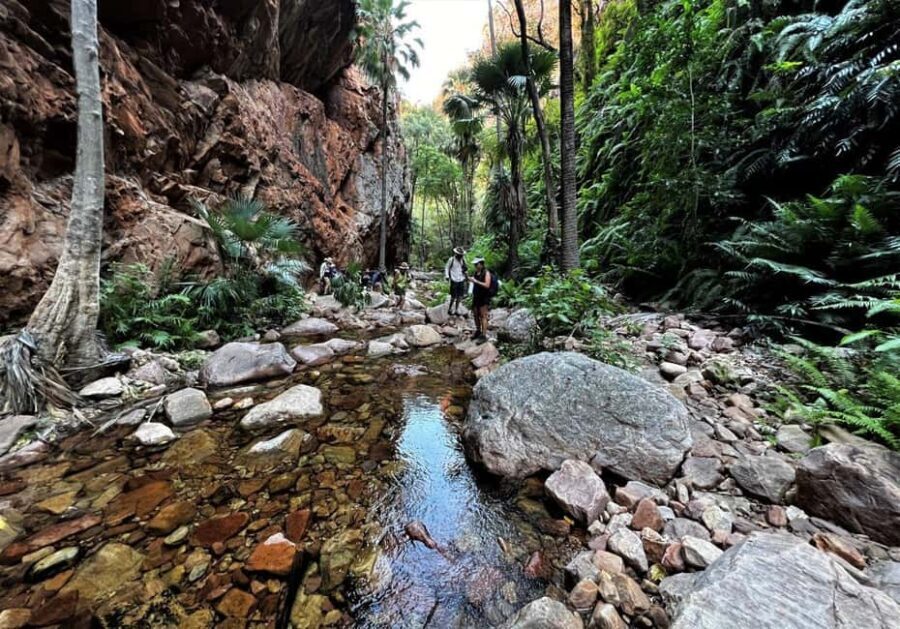 Kimberley: 9 Day Tour from Darwin to Broome - An In-Depth Look at the Itinerary