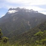 Kinabalu Park & Poring Hot Spring Tour - What Makes This Tour Stand Out (and What Doesn’t)