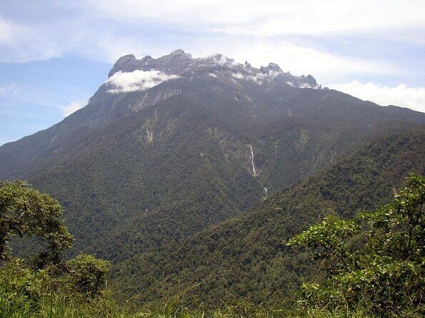 Kinabalu Park & Poring Hot Spring Tour - What Makes This Tour Stand Out (and What Doesn’t)