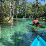 Kings Bay, Crystal River: Gentle Sunrise Manatee Kayak Tour - Important Practicalities