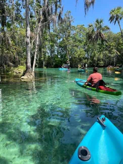 Kings Bay, Crystal River: Gentle Sunrise Manatee Kayak Tour - Important Practicalities