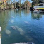 Kings Bay Eco Tours - The Authentic Experience: What Sets It Apart