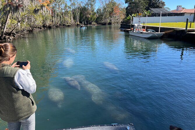 Kings Bay Eco Tours - The Authentic Experience: What Sets It Apart