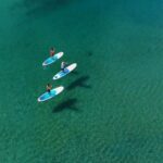 Kingscliff: Paddleboard and Mindfullness in the Mangroves - The Value and Practical Considerations