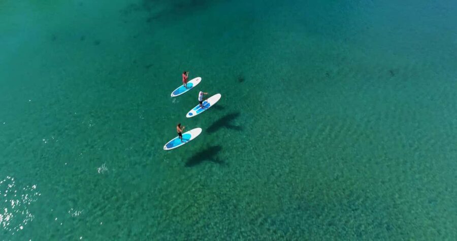 Kingscliff: Paddleboard and Mindfullness in the Mangroves - The Value and Practical Considerations