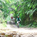 Kintamani Cultural and Nature Cycling Tour ( Manual Bike ) - The Practical Details: What You Need to Know