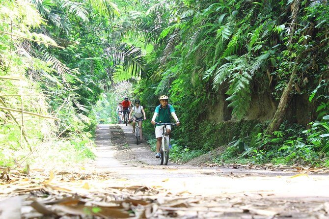 Kintamani Cultural and Nature Cycling Tour ( Manual Bike ) - The Practical Details: What You Need to Know