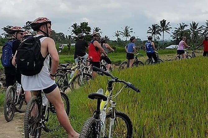 Kintamani Downhill Cycling Adventure - The Sum Up