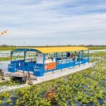 Kissimmee: 1 Hour Florida Everglades Pontoon Boat Tour - The Guides and Their Role