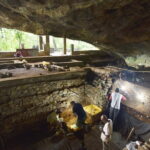 Kithulgala Belilena Cave Tour from Colombo - Who Should Consider This Tour?