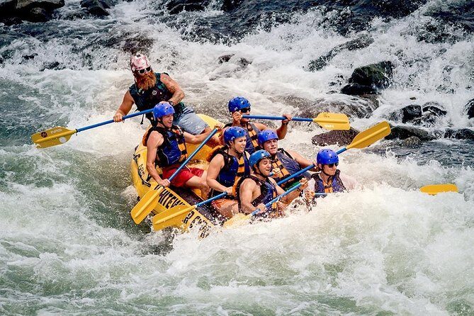 Kitulgala White water Rafting Day tour from Colombo, Negombo or Kandy - The Reality Check: What Reviewers Say