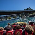 KJet Queenstown Jet Boat Ride on the Kawarau and Shotover Rivers - Authentic Feedback from Fellow Travelers