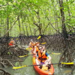 Ko Lanta: HALF DAY EXPLORE MANGROVE KAYAKING TOUR AND LUNCH - Who Will Appreciate This Tour?