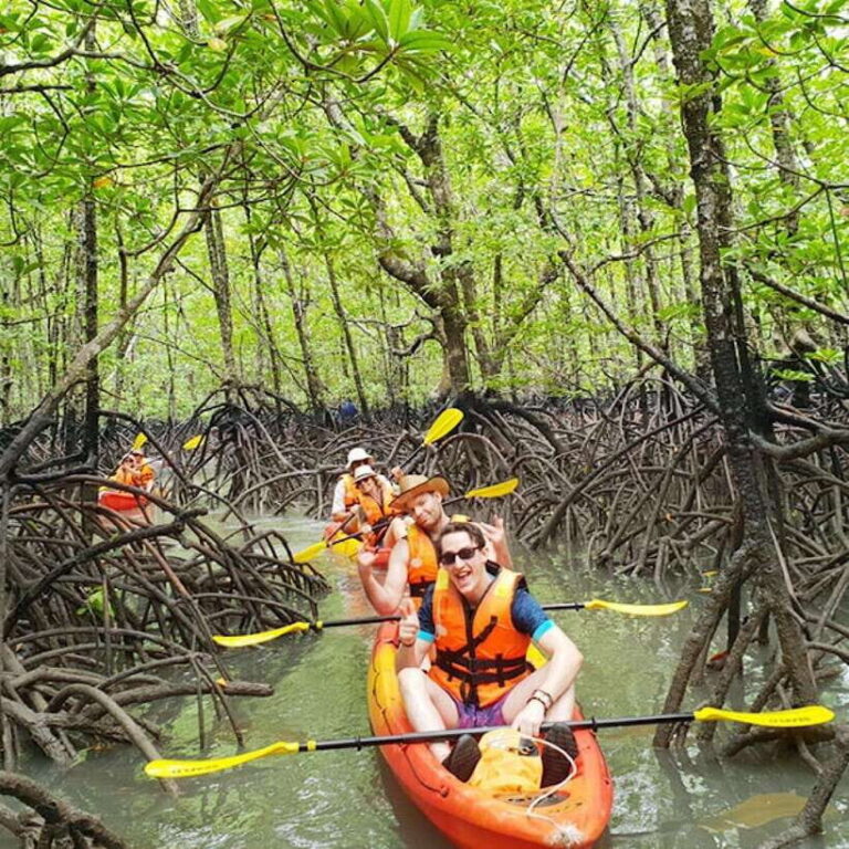 Ko Lanta: HALF DAY EXPLORE MANGROVE KAYAKING TOUR AND LUNCH - Who Will Appreciate This Tour?