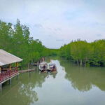 Ko Lanta: Mangrove Forest Boat Tour with Lunch or Dinner - The Value for Money and Practicalities