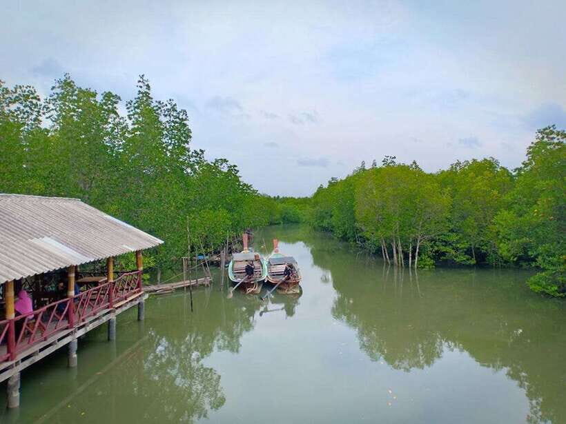 Ko Lanta: Mangrove Forest Boat Tour with Lunch or Dinner - The Value for Money and Practicalities