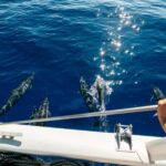 Ko Olina Exclusive Snorkel + Lunch - The Scenic Coastline and Wildlife Encounters