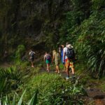 Koalas, Glow Worms & Kangaroos - Nature & Rainforest Walk - Practical Details and Value