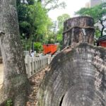 Kobe Guided Tour Including Port Area and Arima Onsen Town - The Itinerary in Detail