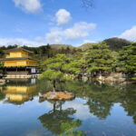 Kobe: Private Walking Shore Excursion- Kyoto/Osaka/Nara/Kobe - What Travelers Say