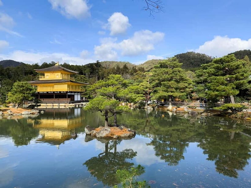 Kobe: Private Walking Shore Excursion- Kyoto/Osaka/Nara/Kobe - What Travelers Say