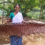 Kochi: Backwater Exploration in Village: Free Pickup & Drop - The Itinerary Explored
