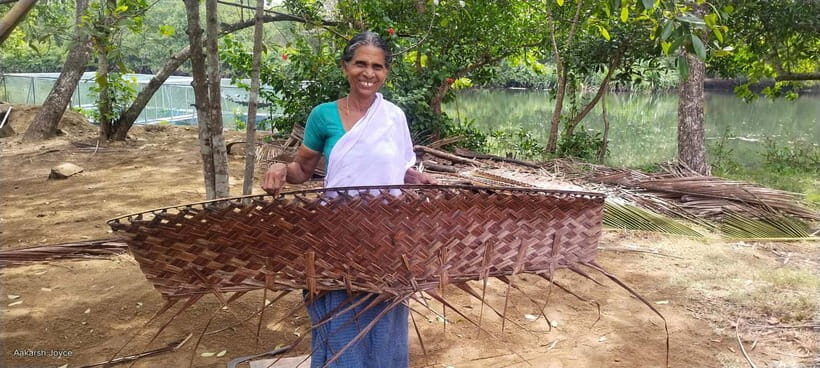 Kochi: Backwater Exploration in Village: Free Pickup & Drop - The Itinerary Explored