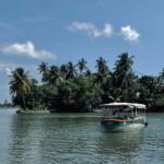 Kochi: Electric Boat Private Tour - Who Will Love This Tour?