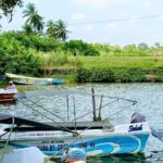 Koggala Lake Boat Tour - What You Can Expect on the Water