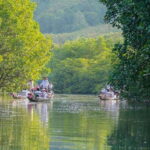 Koh Chang: Mangrove Forest Gondola Tour - What to Expect