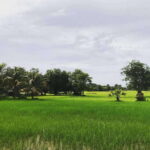 Koh Ker & Beng Mealea Temples Private Tour - An In-Depth Look at the Itinerary