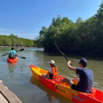 Koh Lanta: Amazon Mangrove Kayaking Tour With Lunch - What Makes This Tour Special