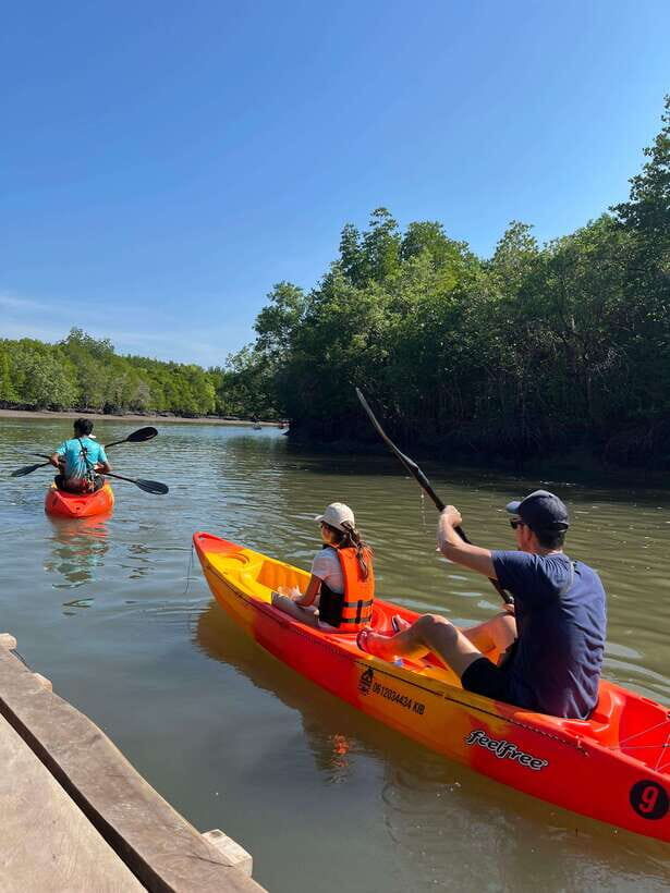 Koh Lanta: Amazon Mangrove Kayaking Tour With Lunch - What Makes This Tour Special