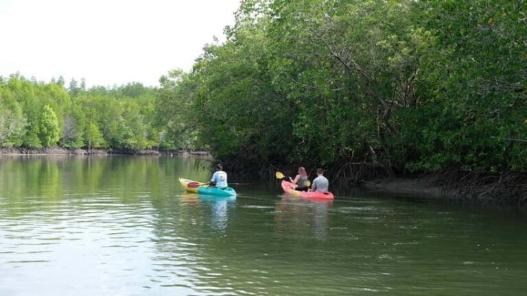 Koh Lanta: Paddle Serenity & Thung Yee Pheng's Mangrove Maze - What Makes This Tour Stand Out?
