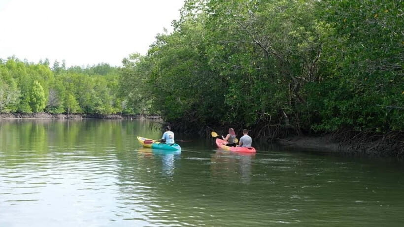 Koh Lanta: Paddle Serenity & Thung Yee Pheng's Mangrove Maze - What Makes This Tour Stand Out?