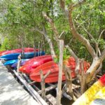 Koh Lanta:Mangrove + Elephant Camp Half Day Tour - Practical Details and Value
