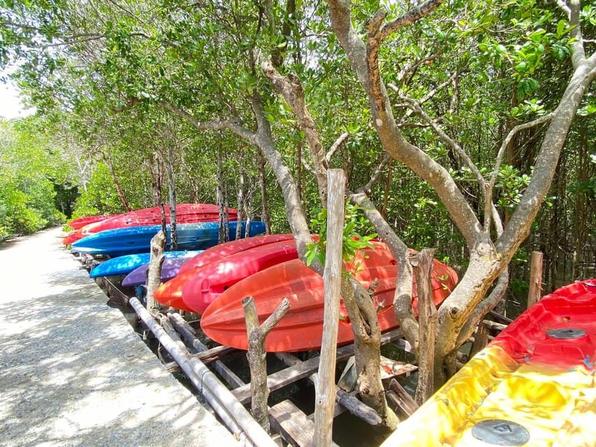 Koh Lanta:Mangrove + Elephant Camp Half Day Tour - Practical Details and Value