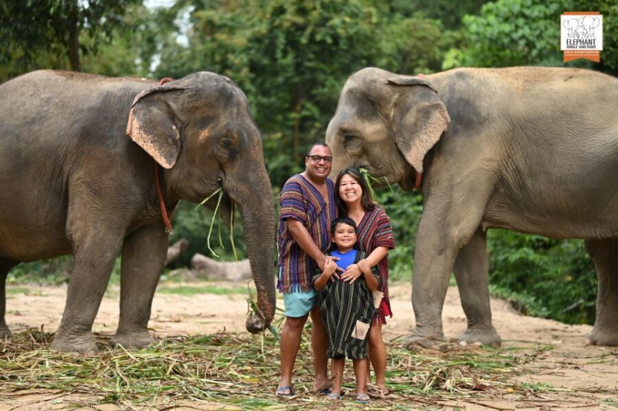 Koh Samui: Elephant Sanctuary Entry and Feeding Experience - The Real Value of This Experience