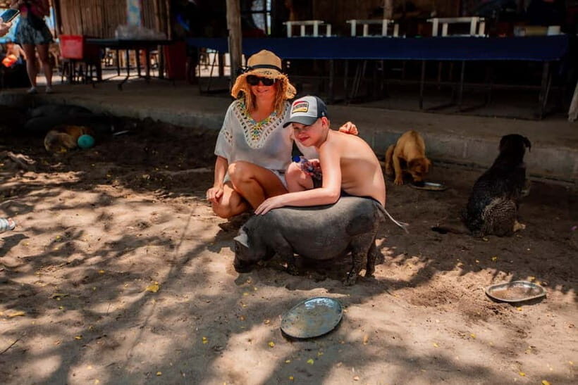 Koh Samui: Pig Island Day Tour by Speedboat - What’s Good and What Might Be Better