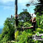 Koh Samui: Zipline Adventure with Hotel Transfer - The Authentic Experience