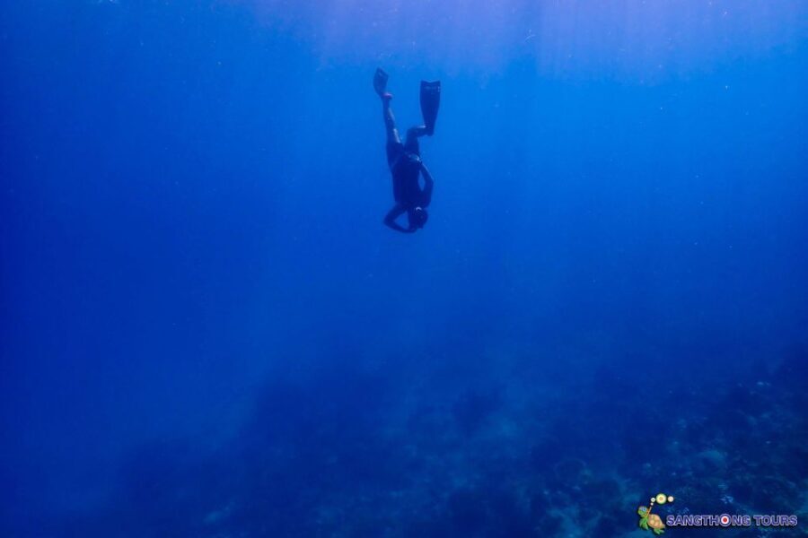 Koh Tao: Islands Snorkeling Highlights Day Tour & Lunch - Considerations for Travelers