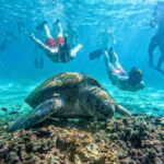 Koh Tao: Koh Nangyuan & Hidden Bays Snorkeling Tour w/ Lunch - Why You’ll Love This Tour