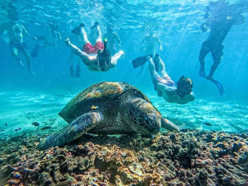 Koh Tao: Koh Nangyuan & Hidden Bays Snorkeling Tour w/ Lunch - Why You’ll Love This Tour