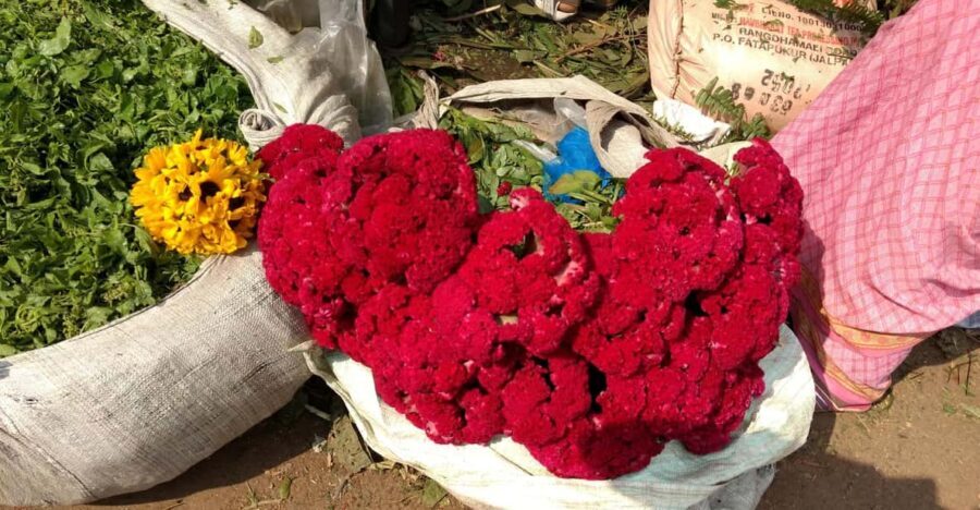Kolkata: Half-Day Morning Tour w/ Flower Market - Authenticity and Value