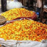 Kolkata Half Day Sightseeing Tour - Authentic Insights and Real Traveler Feedback